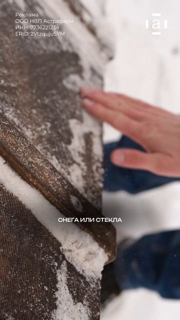 Как начать заниматься с собакой на снарядах?