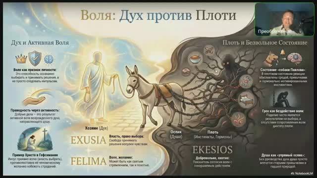 6.2.1 Идентификация воли (трансляция)