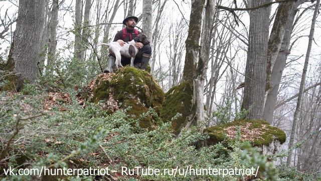 🌲 Зимний кемпинг в Туманном лесу: строим укрытие на месте пожара