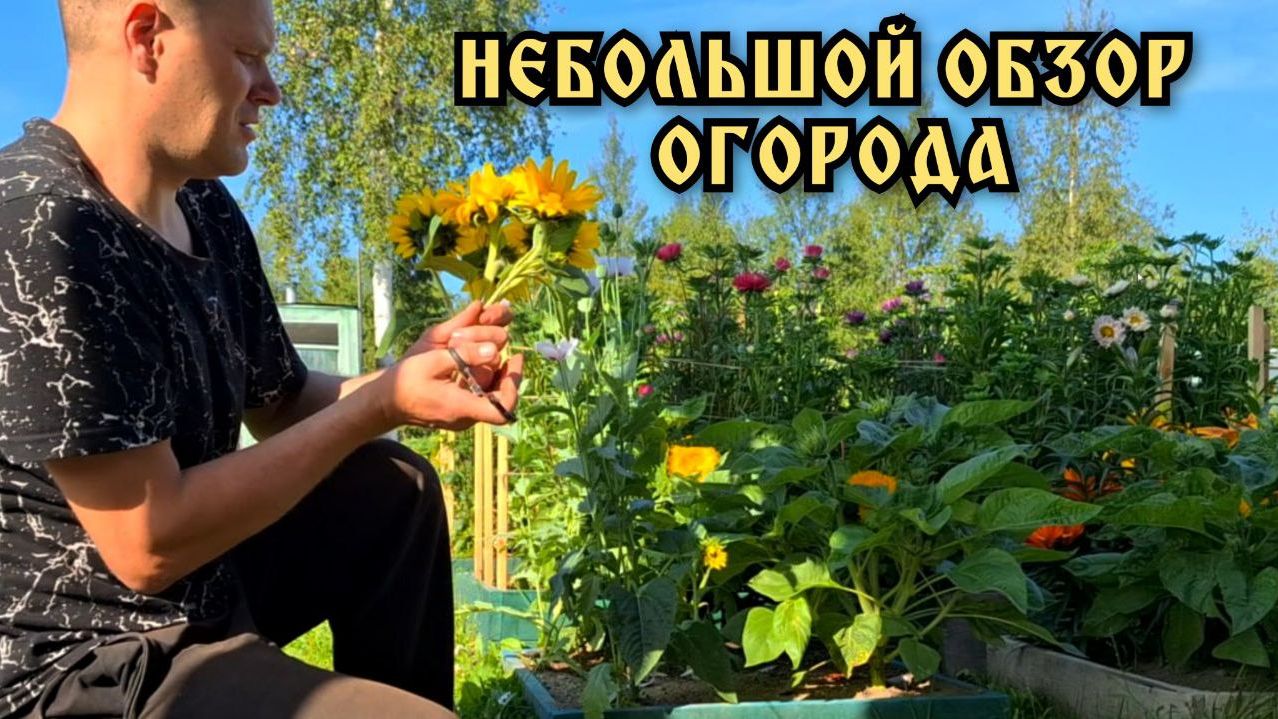 Я на даче. Обзор моего огорода.