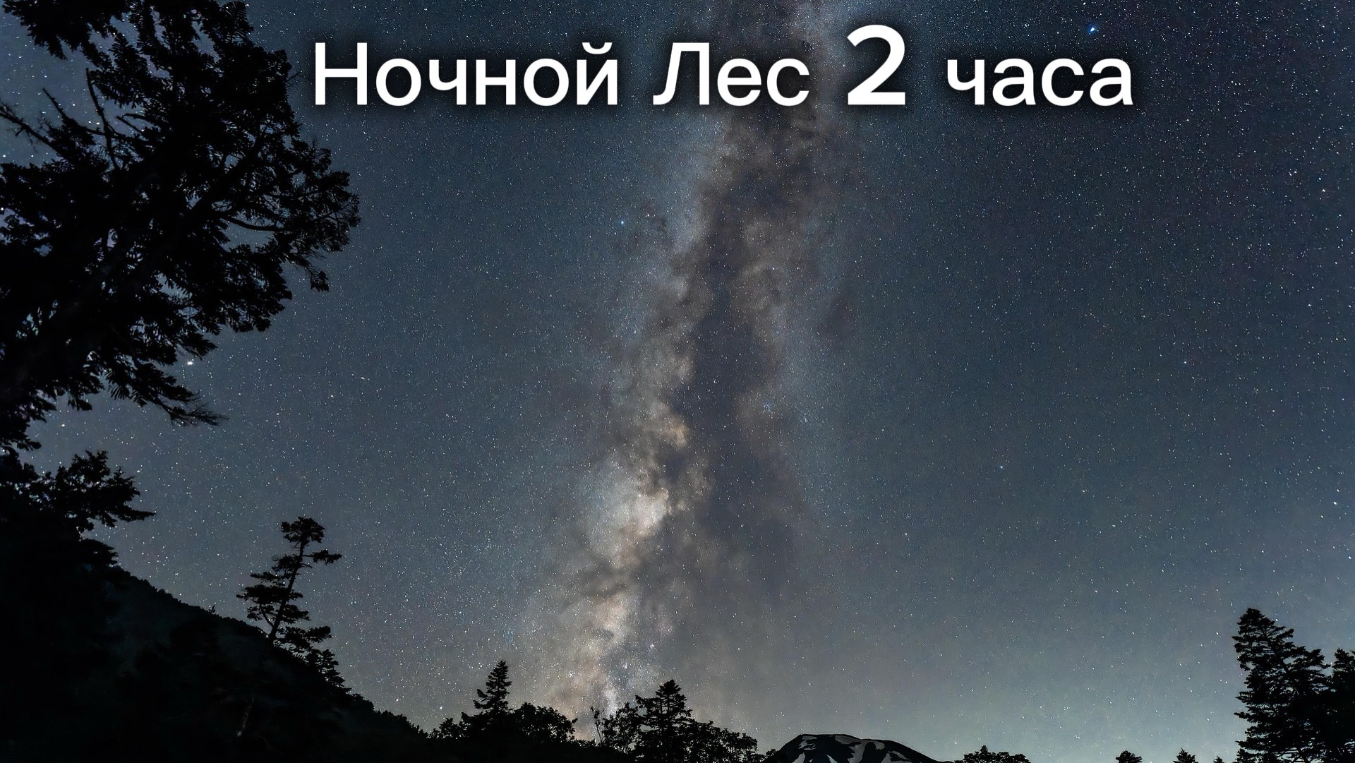 Ночной лес - звуки природы для сна🌲Звезды, сверчки и ветер ( 2часа )