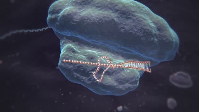 Метод CRISPR/Cas: как редактировать гены и что это значит для будущего