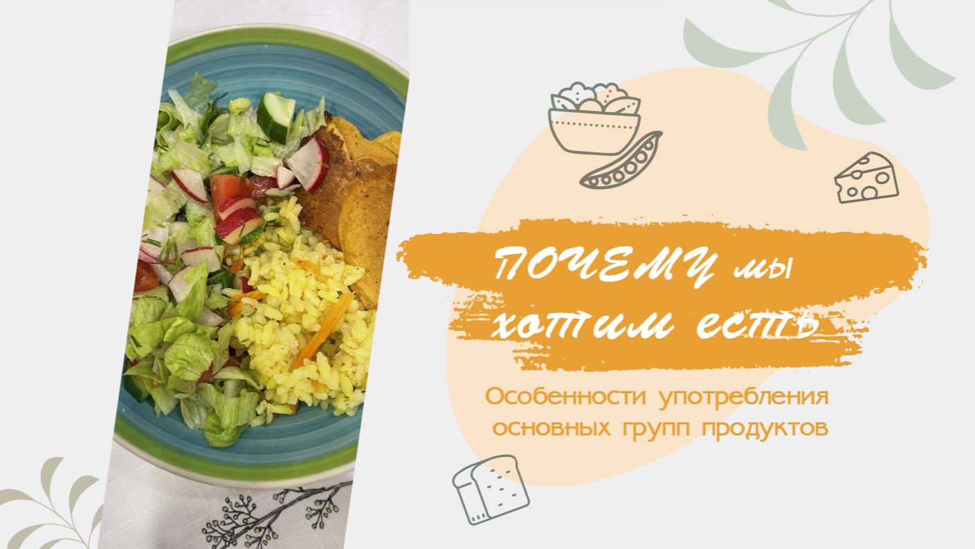Почему мы хотим есть. Особенности употребления основных групп продуктов