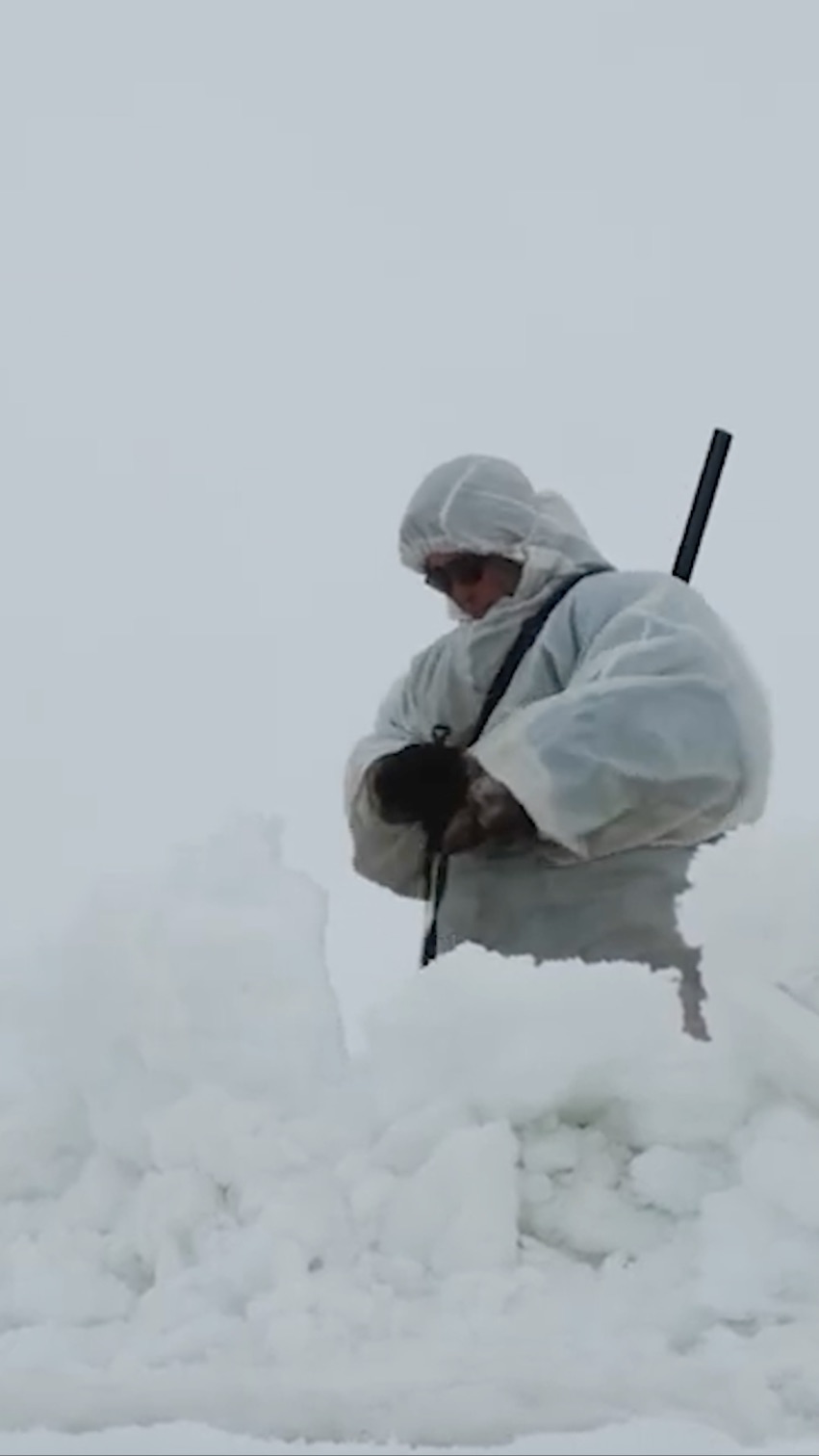 ❄️ Ушли в 4 утра, а гусь... пролетел мимо. Охота на Крайнем Севере