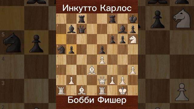 Бобби Фишер против Карлоса Инкутто (1960) — Победа в 11-м туре в Мар-дель-Плата