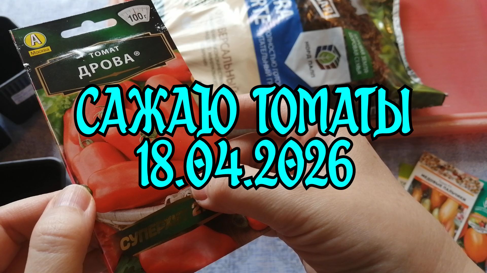 Сажаю томаты 18.04.2026