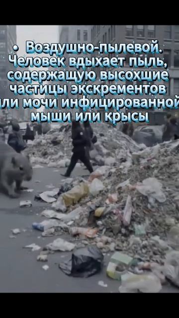 хантавирус что ожидать что можно сделать для иммунитета