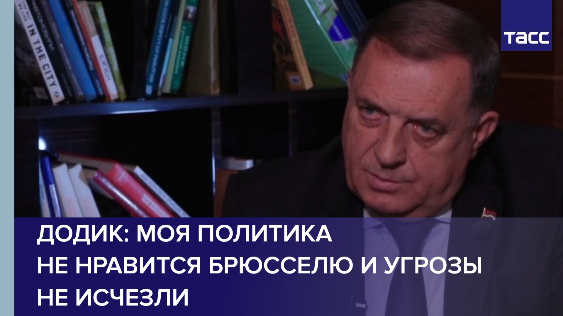 Додик заявил ТАСС, что его политика не нравится Брюсселю