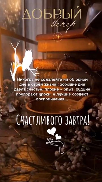 Добрый вечер!