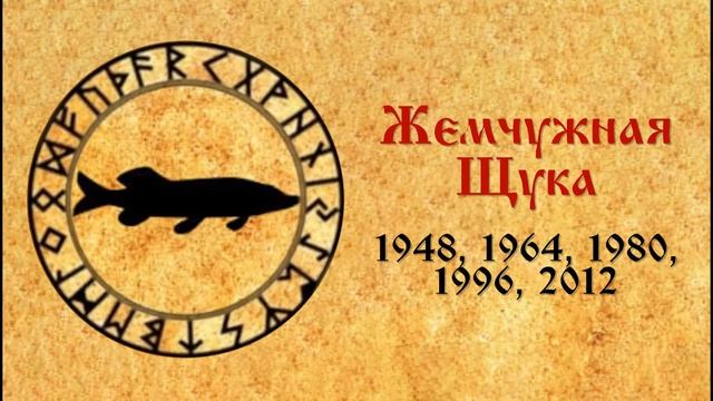 ГОДОСЛОВ | ЖЕМЧУЖНАЯ ЩУКА | ДАША КОМАРОВА