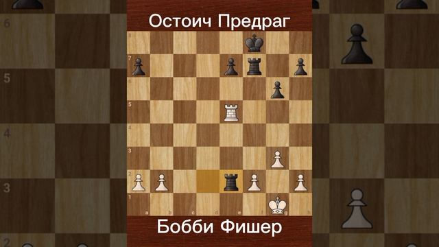 Бобби Фишер против Предраг Остоич (1970) — Победа в 8-м туре блица в Херцег-Нови
