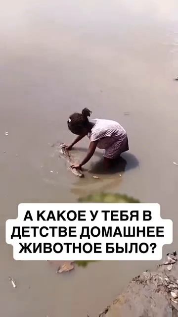 ПЕРВЫЙ ПИТОМЕЦ