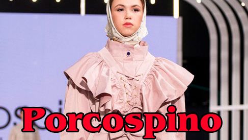Porcospino