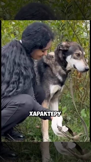 Знакомьтесь, это Малай!