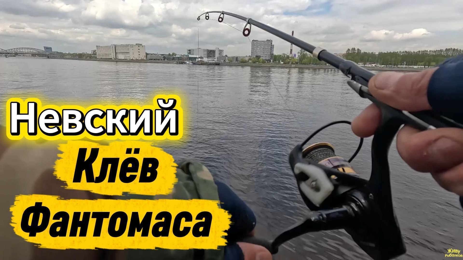 ЦАРСКАЯ РЫБА С БЕРЕГОВ НЕВЫ РЫБАЛКА ОТПРАВИЛСЯ  ГДЕ БЫЛ В ПРОШЛЫЙ РАЗ В НАДЕЖДЕ ПОЛОВИТЬ ЛЕЩА