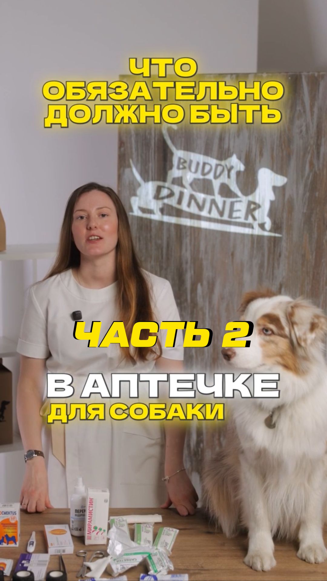 Аптечка для питомца, ч.2