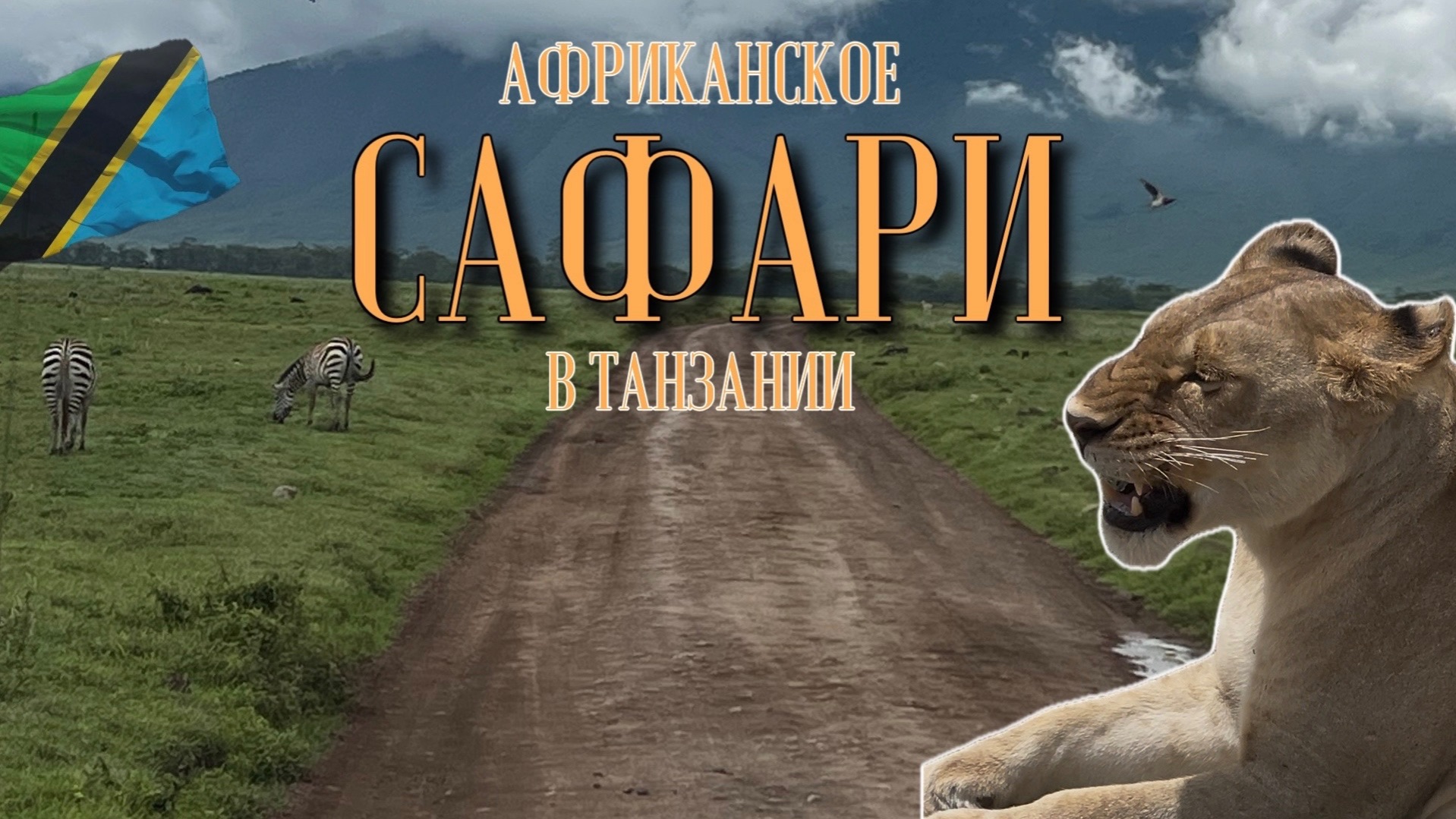 ТАНЗАНИЯ - САФАРИ В АФРИКЕ. СЕРЕНГЕТИ ТАРАНГИРЕ НГОРОНГОРО