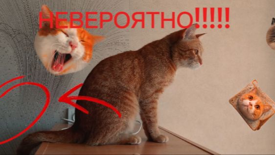 Мемы 2.5 мемозг 5