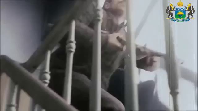 Знамя Победы - государственная реликвия ВС России