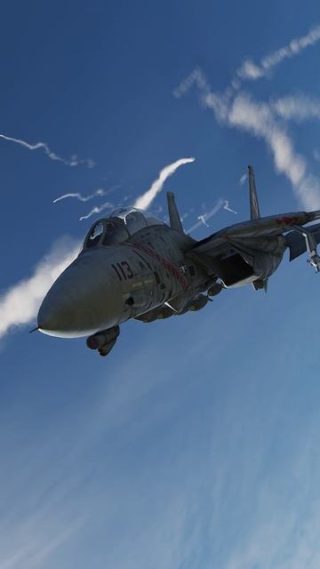 Tomcat Strike Mission