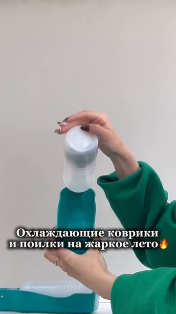 Must-have: охлаждение в жаркую погоду | «Мистер Гав» Челябинск #shorts