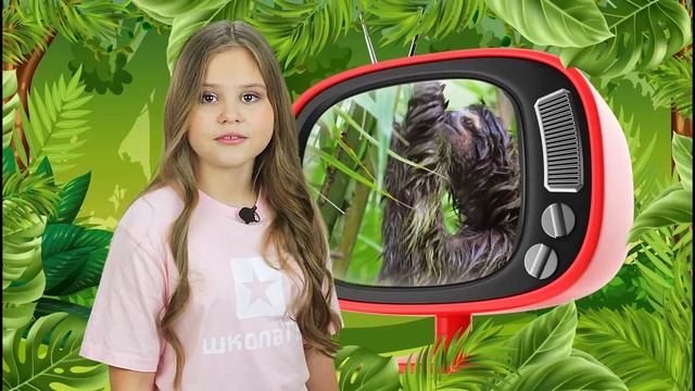 ЭТИ ЗАБАВНЫЕ ЖИВОТНЫЕ |  ЕВА ДУБЧЕНКО