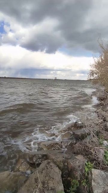 ЗООГОСТИНИЦА. ПЕРЕДЕРЖКА СОБАК КИНОЛОГОМ.
