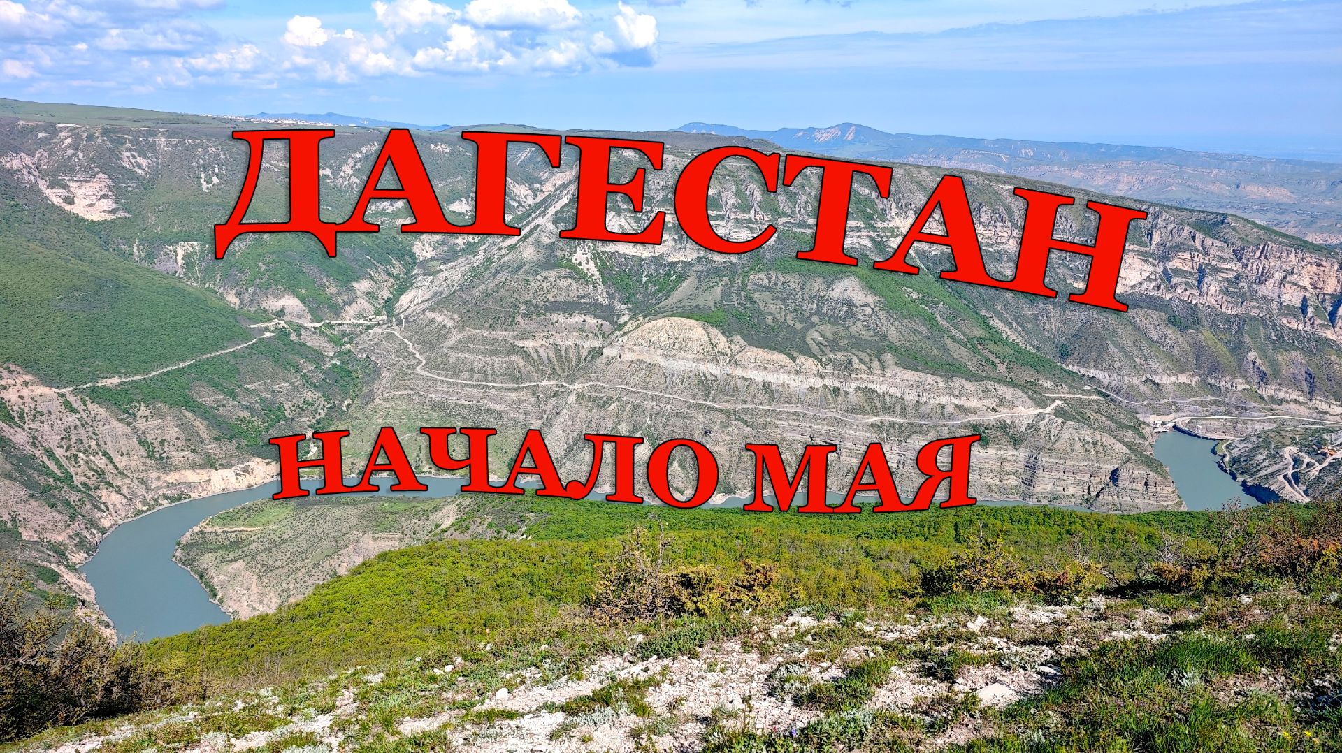 Энтомологические вылазки: Дагестан, начало мая