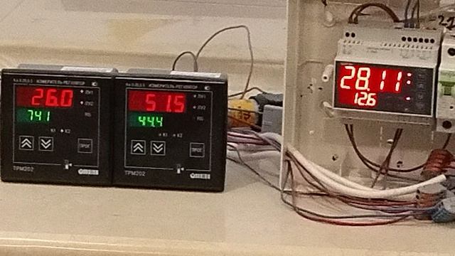 №2138 Двор П. Осипенко 48. 5 мая 2026 г., 5:19:59 VID_20260505_051938862