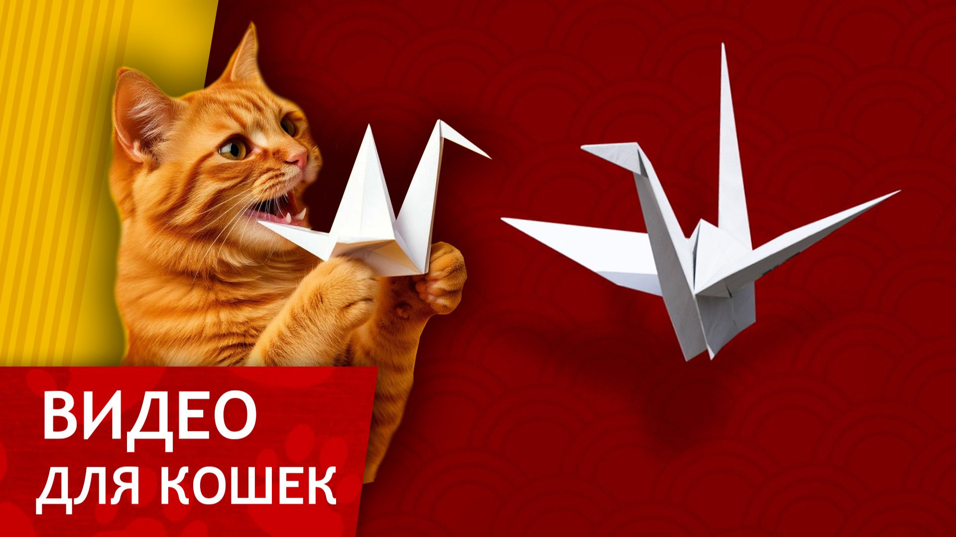 Видео для Кошек - Охота на бумажного журавлика (Развлеки своего кота)