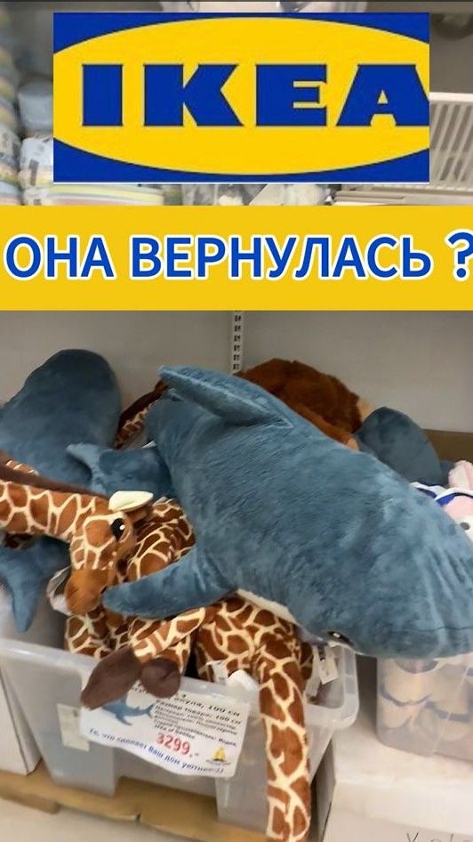 ИКЕА вернулась в Москву?😱Магазин МИСТЕР ДОМ🛍️Проверяем цены!