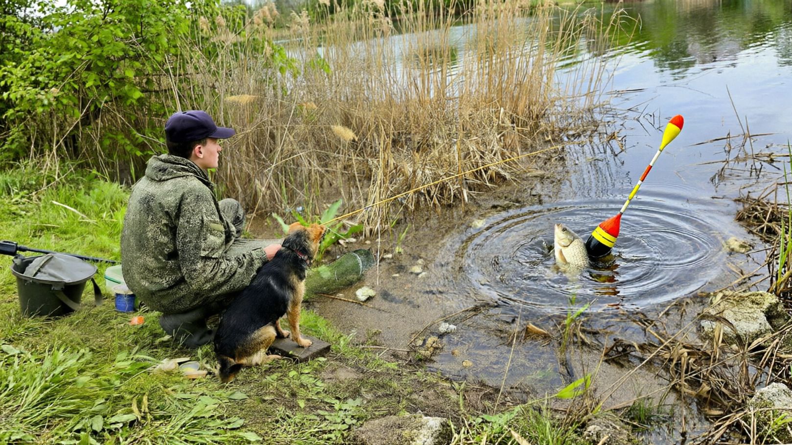 ПРИРОДА ПРОСЫПАЕТСЯ: УТРЕННЯЯ РЫБАЛКА С СОБАКОЙ И ТОТ САМЫЙ МОМЕНТ С ПОПЛАВКОМ.