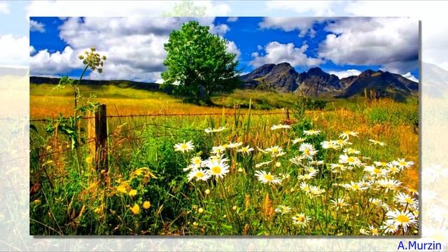 Алексей Коваленко -  Sunny Morning