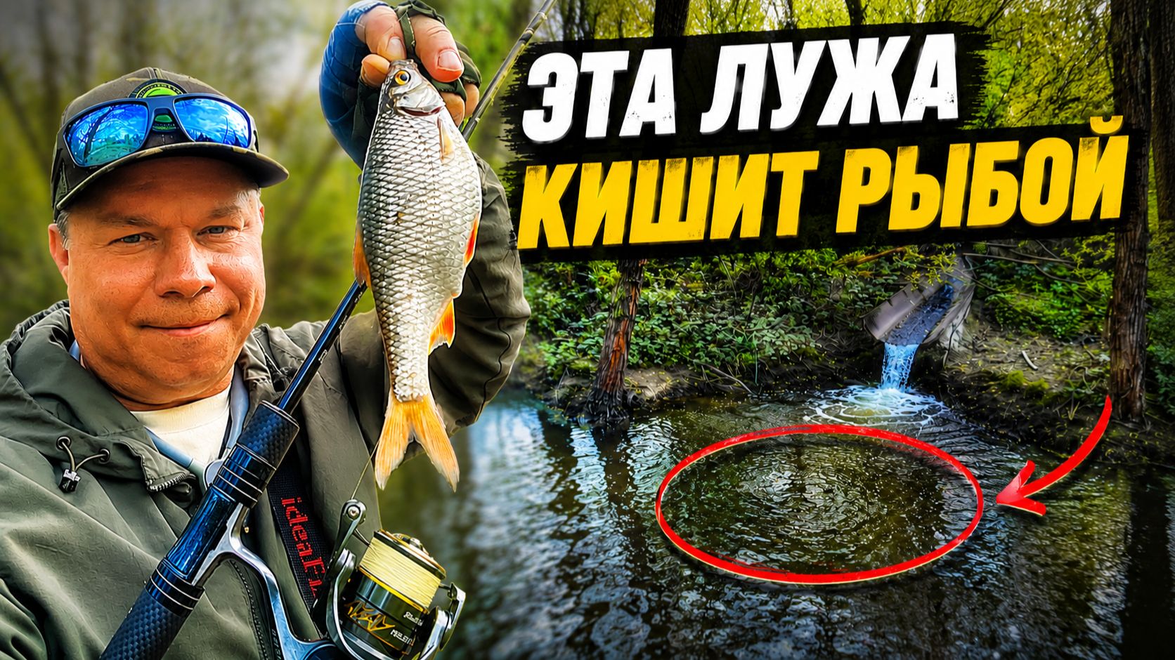 Я ПРОШЁЛ МИМО… А ТАМ РАЗДАЧА ПЛОТВЫ | Мормо-ТЕЛЕСКОПЧИК ЗА КОПЕЙКИ