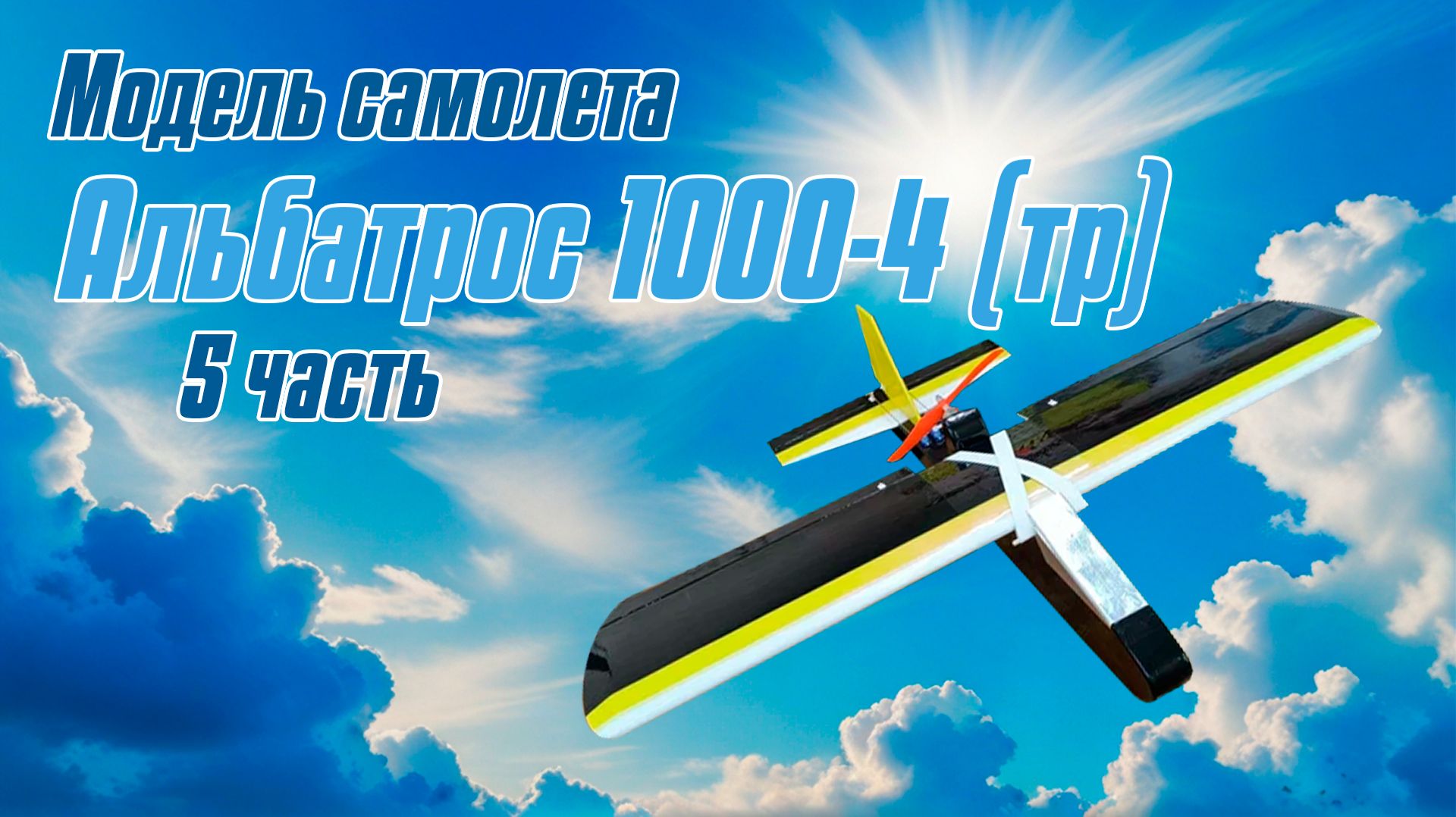 Модель самолета Альбатрос 1000-4 / 5 часть / ALNADO