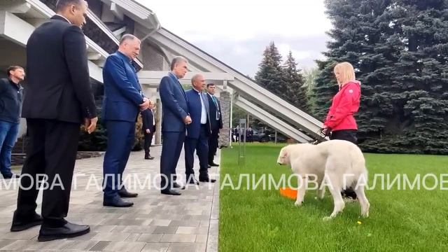 Минниханов показал Бердымухамедову алабая Акдуса, подаренного пять лет назад