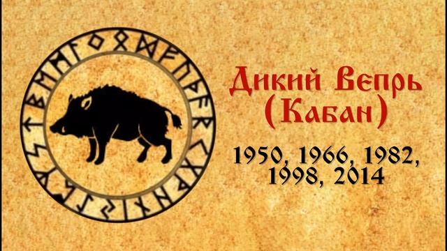 ГОДОСЛОВ | ДИКИЙ ВЕПР | АРИНА ВОРОГУШИНА