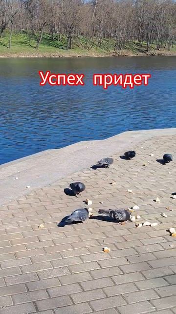 Мотивация от Жириновского#