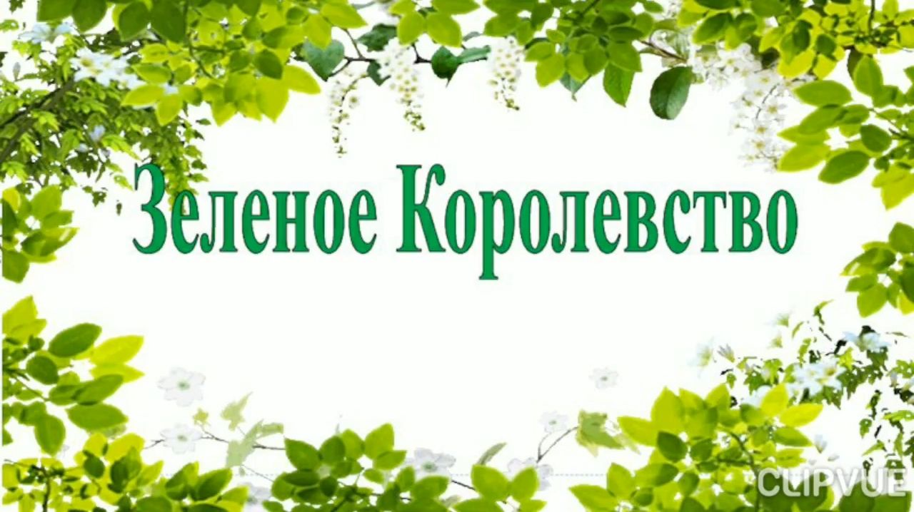 ПРИГЛАШАЮ В МОЁ ЗЕЛЕНОЕ КОРОЛЕВСТВО!