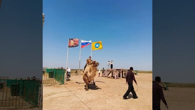 КАЛМЫКИЯ.