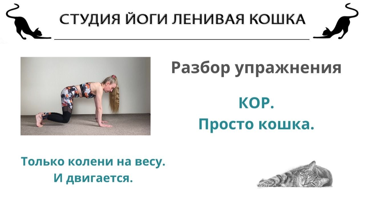 КОР. Просто кошка. Колени на весу и двигается.