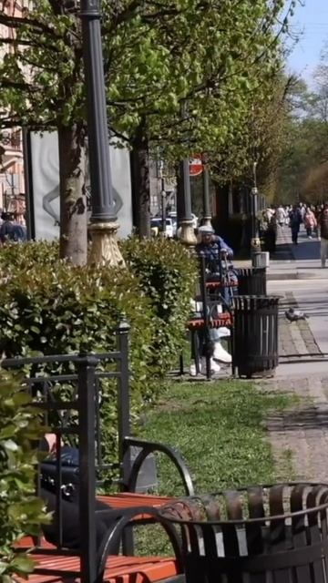 ПРОБЛЕМЫ ЦЕНТРА ПИТЕРА: собаки, дети и парки