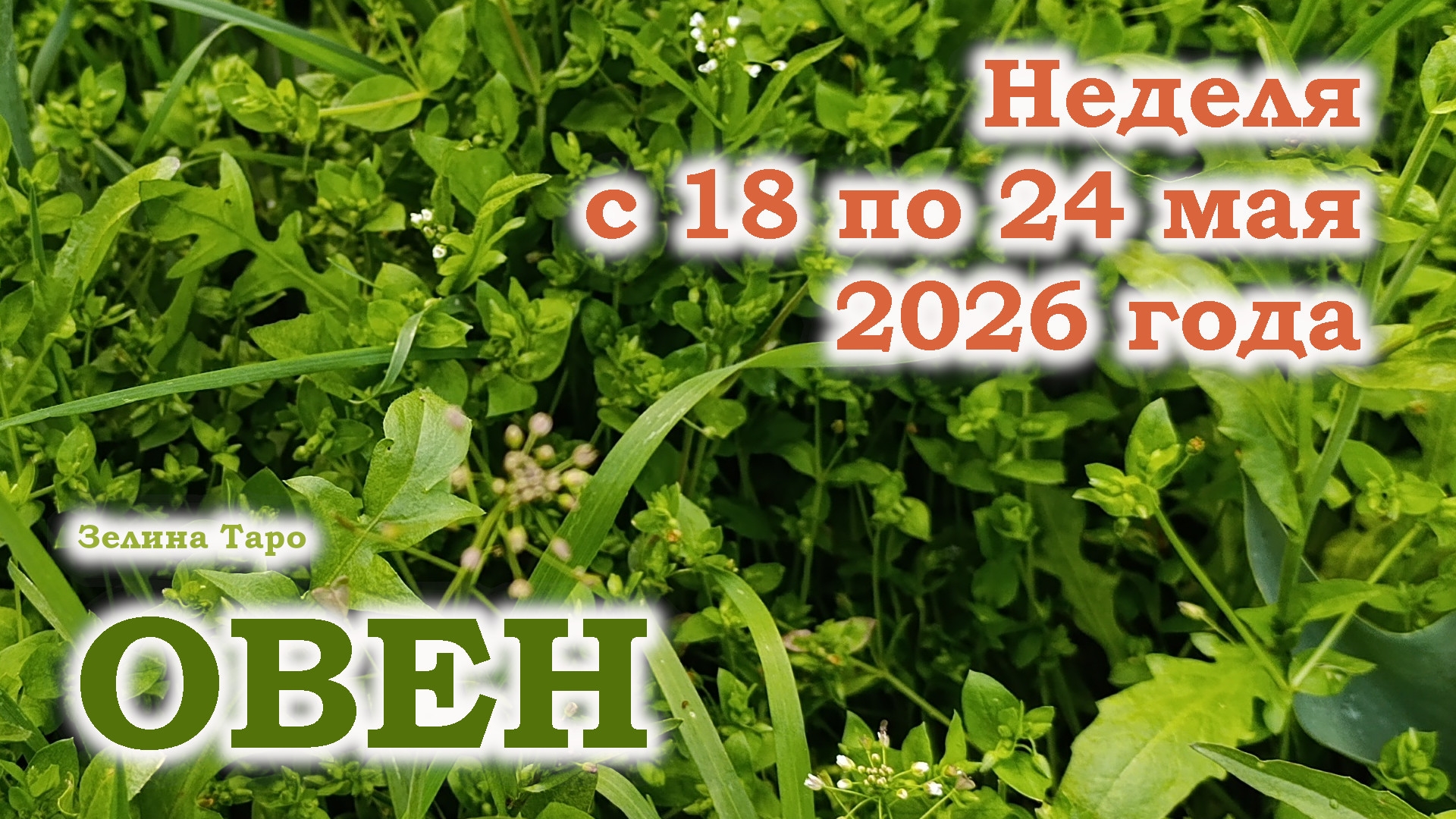 ОВЕН | ТАРО прогноз на неделю с 18 по 24 мая 2026 года