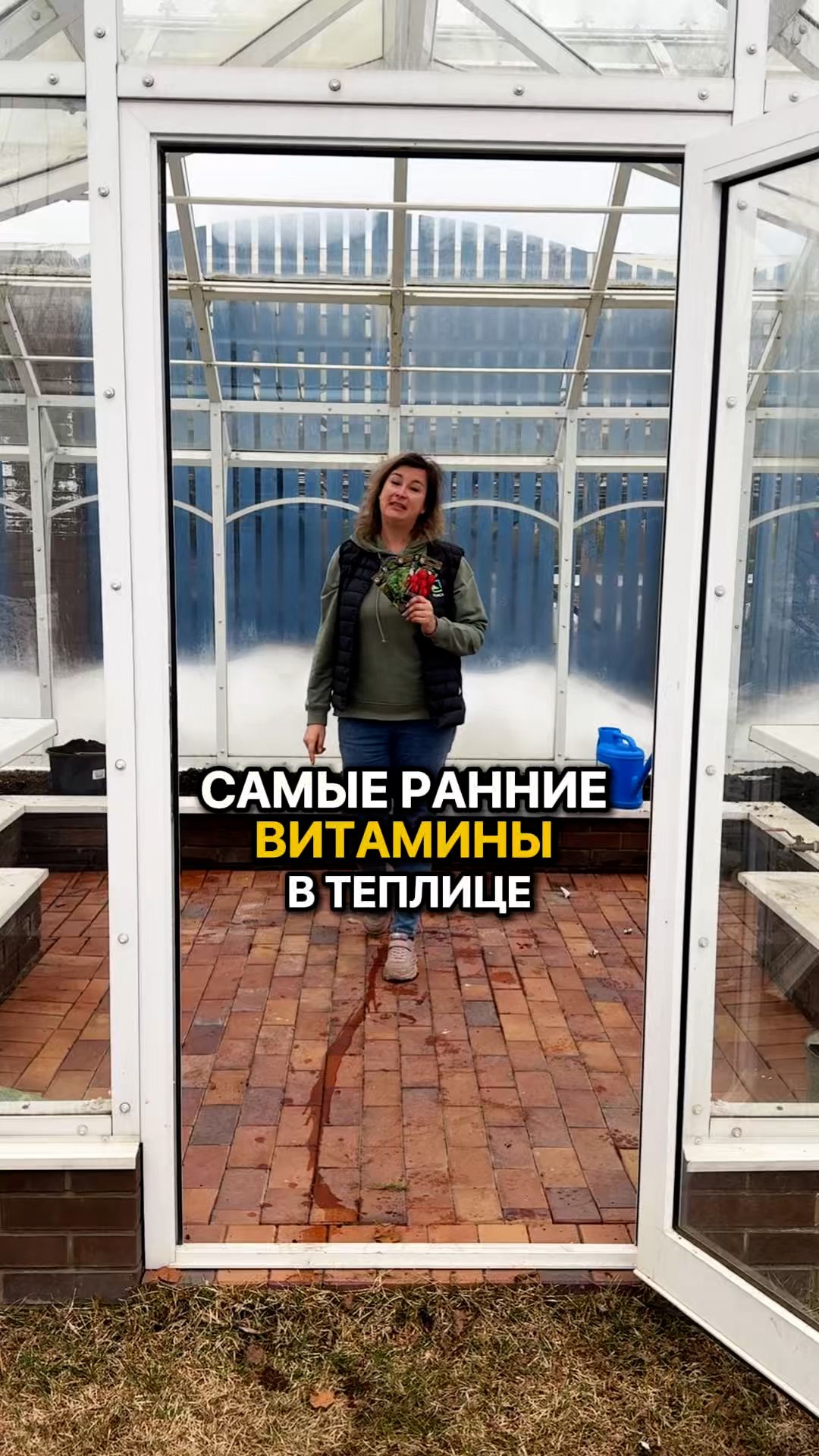 Самые ранние витамины в теплице!
