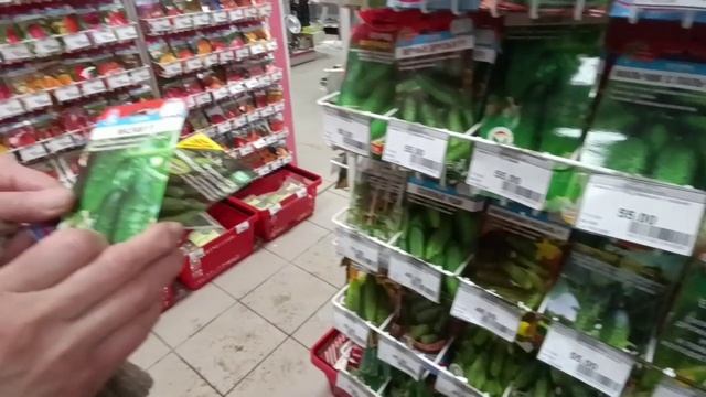 Мы по Гатчине бродили, в магазины заходили. Покупали семена. А теперь сажать пора.