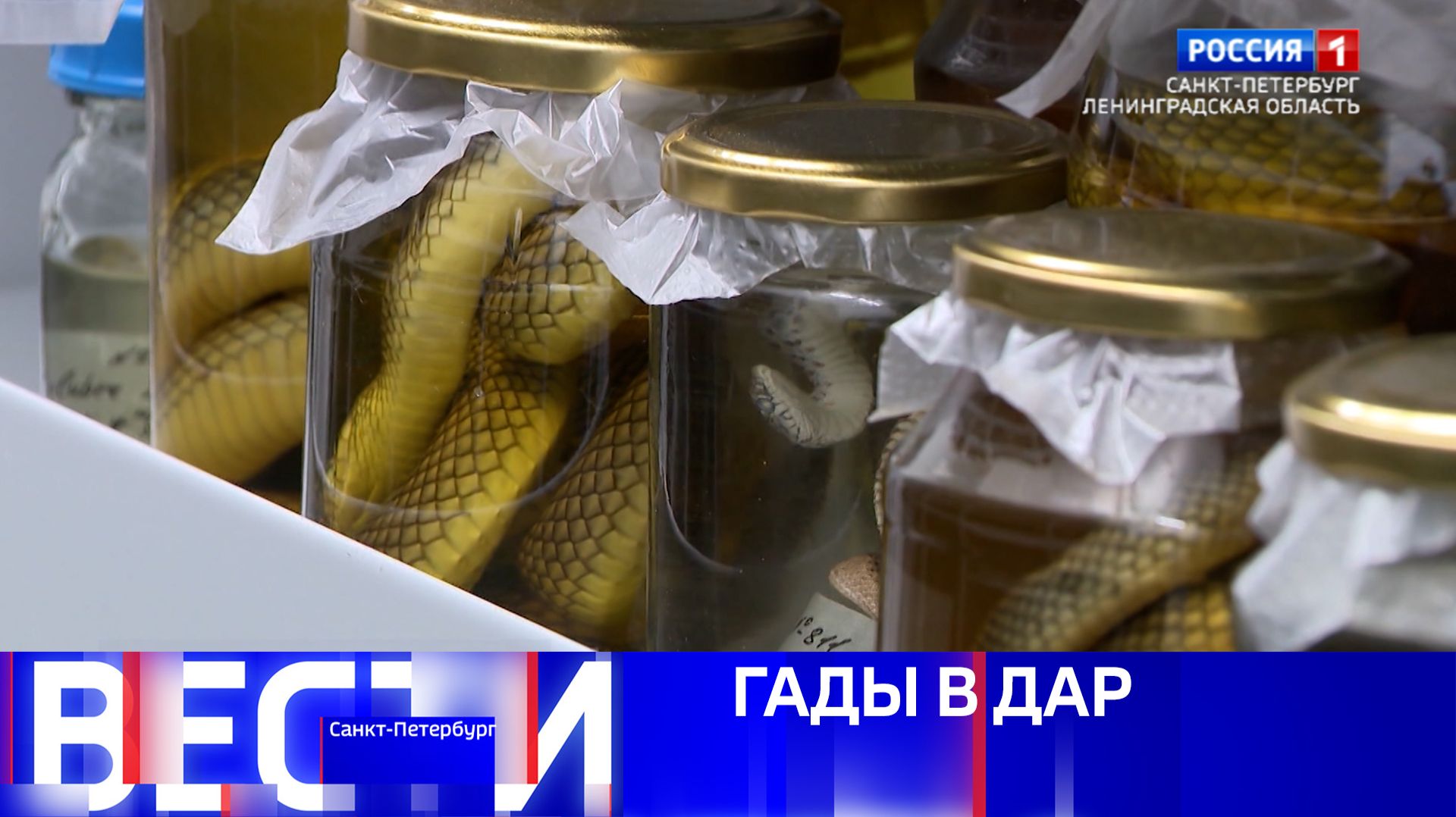 Вести Санкт-Петербург. Выпуск 11.30 от 15.05.2026