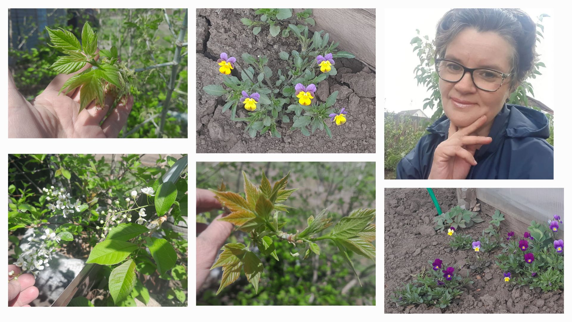 МОЙ🏡#ЗАГОРОДНЫЙ 14.05.2026/#ЖИЗНЬ🫠В🏘 ДЕРЕВНЕ/ВСПАХАЛА🧭#ОГОРОД/ПОСАДКА🧅ЛУКА