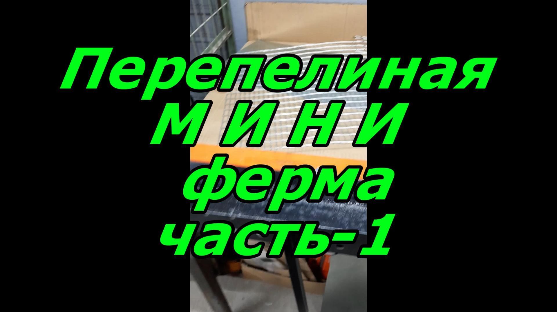 Перепелиная Мини ферма часть-1