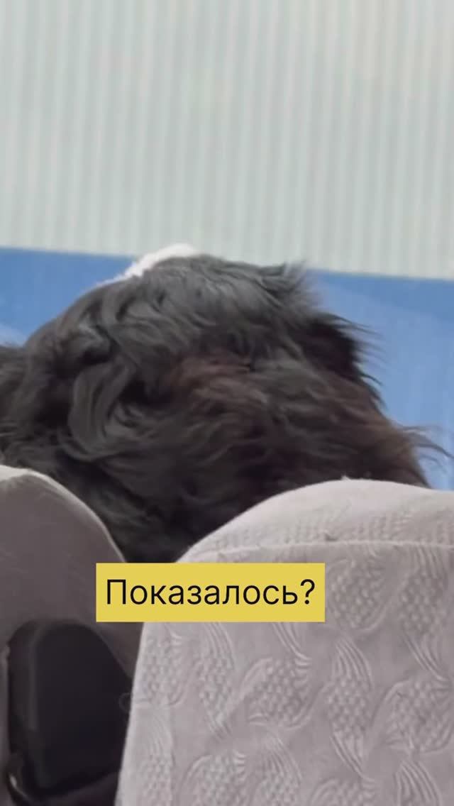 #Ухта …показалось?…Республика Коми…Май 2026