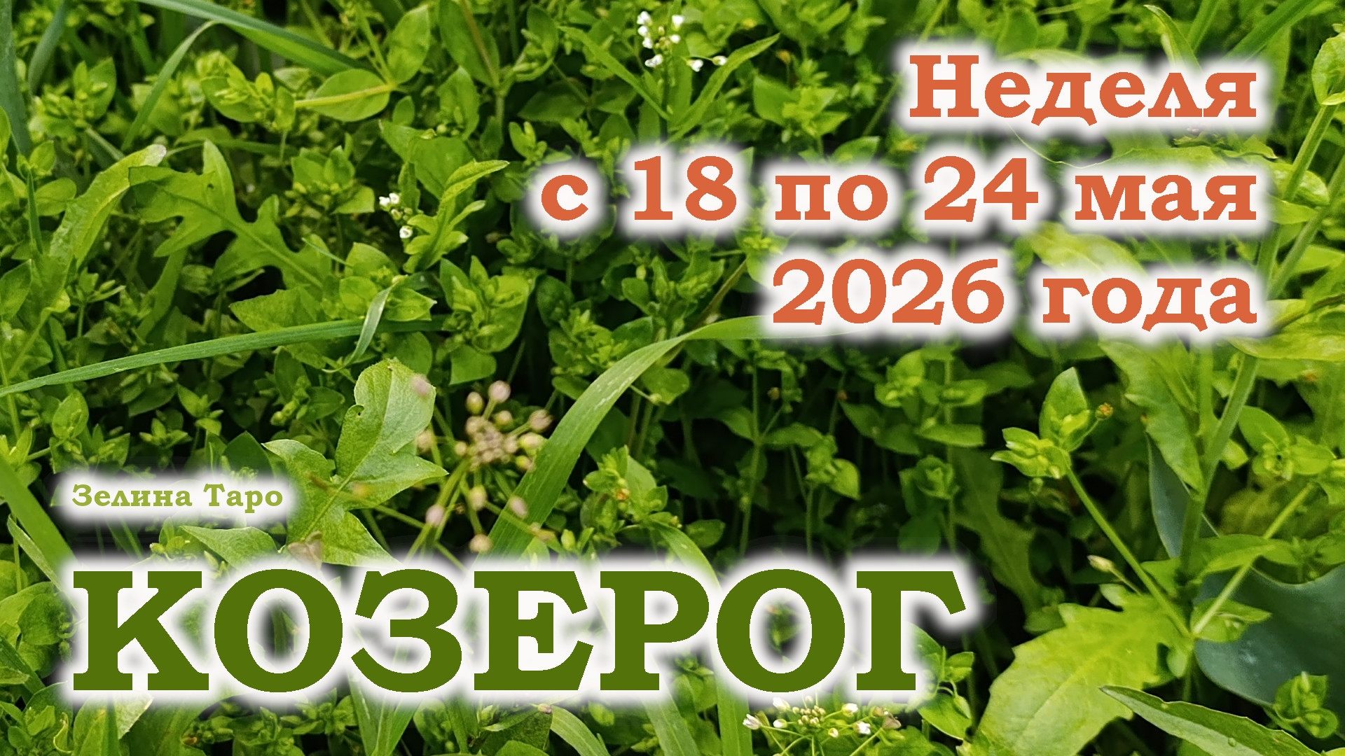 КОЗЕРОГ | ТАРО прогноз на неделю с 18 по 24 мая 2026 года